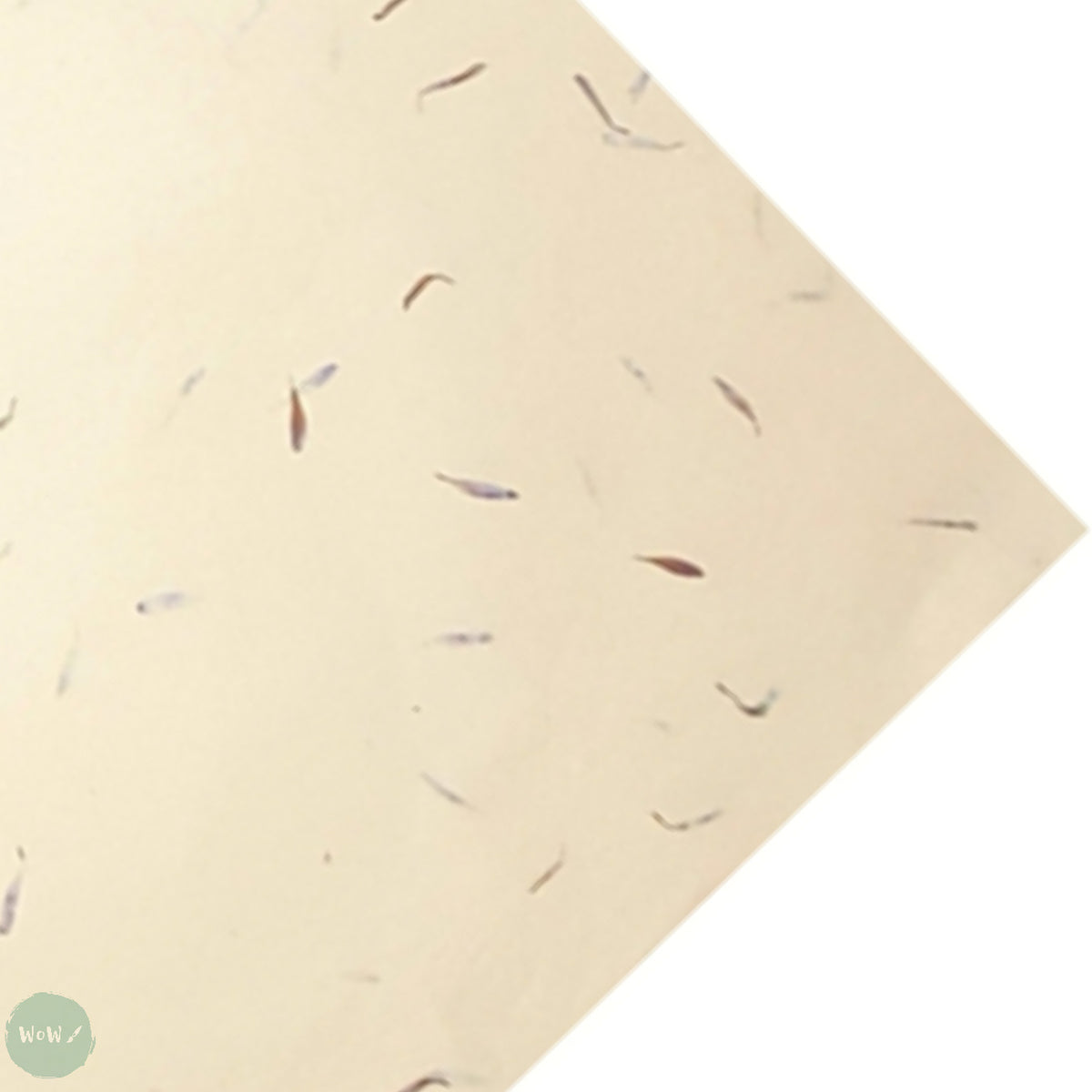 Flower Petal Handmade Paper - Light Yellow 100gsm - (approx. 50 x 70cm ...