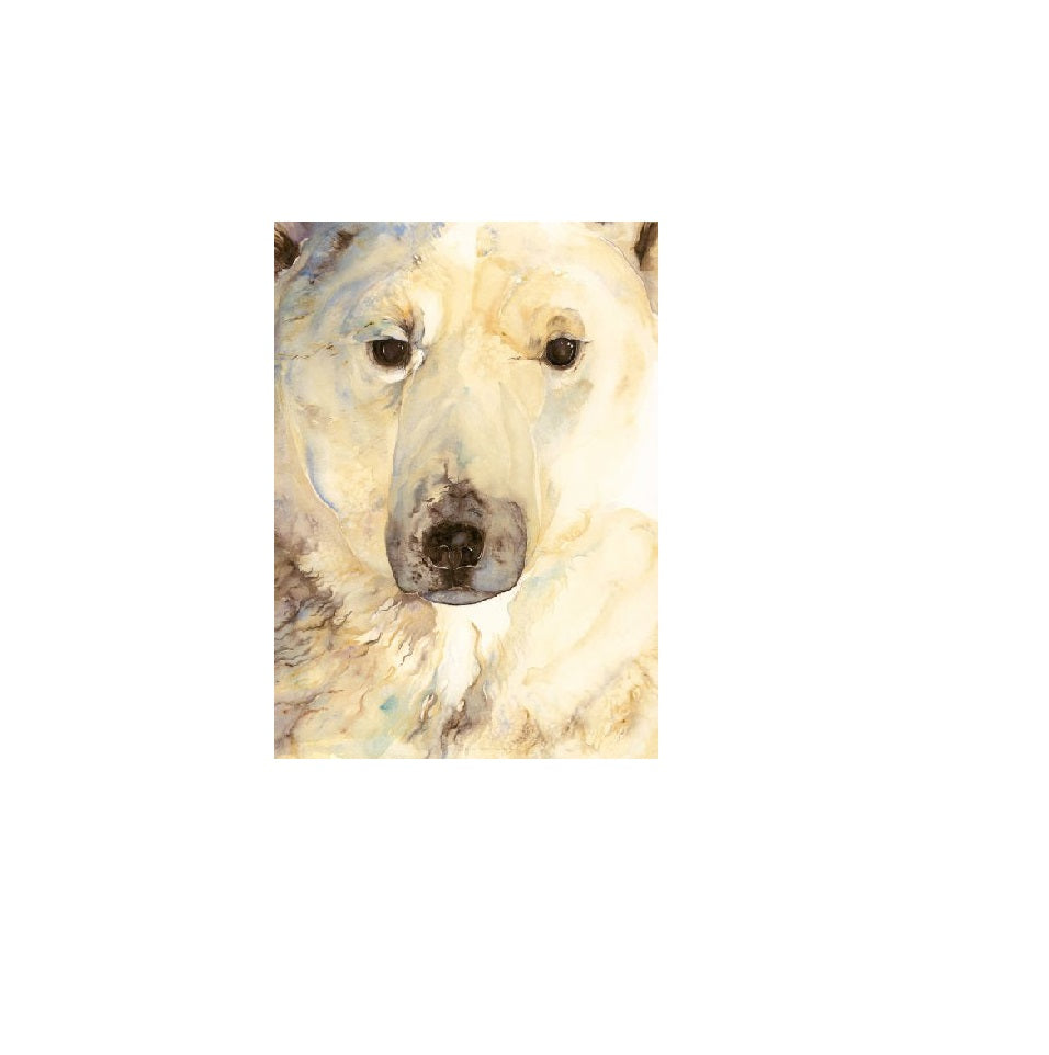Jackie Morris- POSTER - The Ice Bear – WoW Art Supplies
